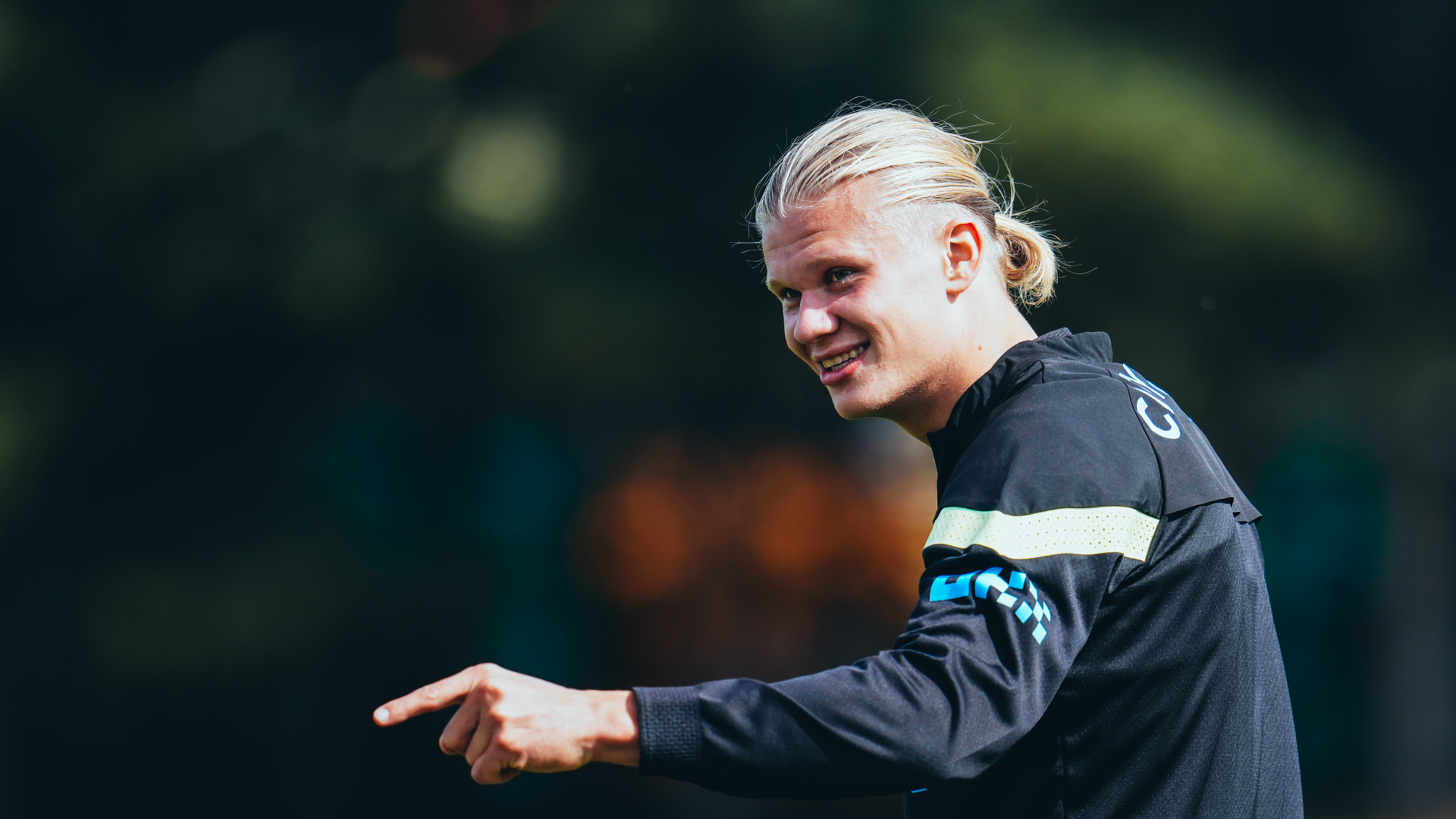 Training: Focusing up on Forest