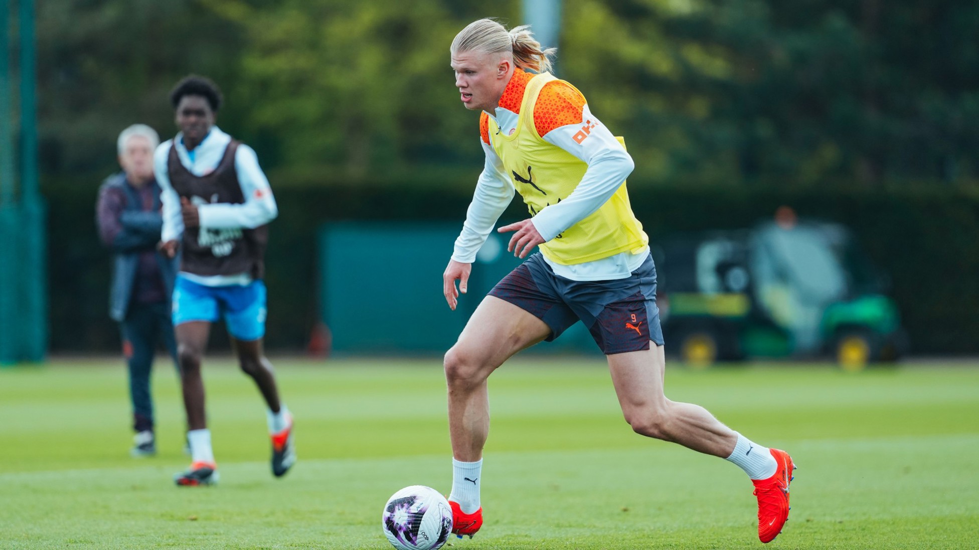 Training gallery: Fast forward to Forest