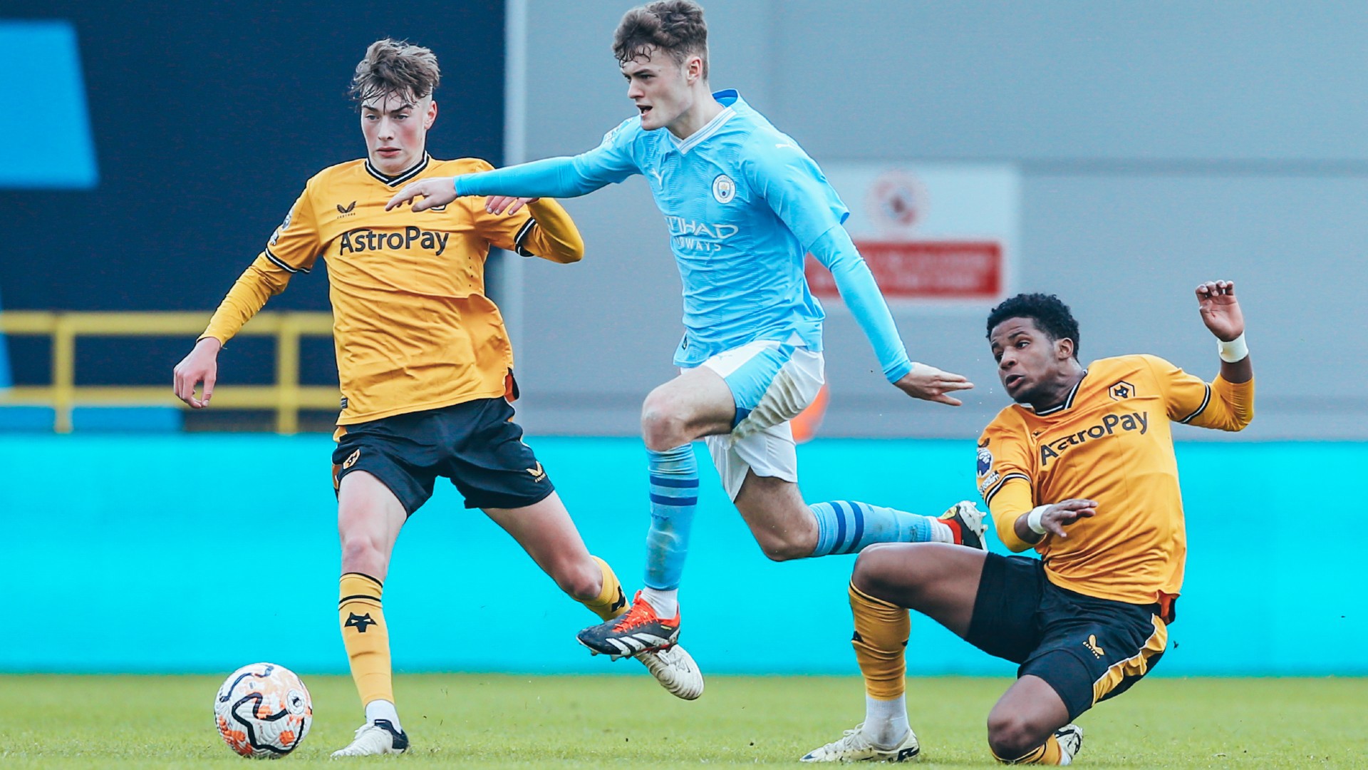 ‘We showed good character’ in fight to earn a point, says Warhurst