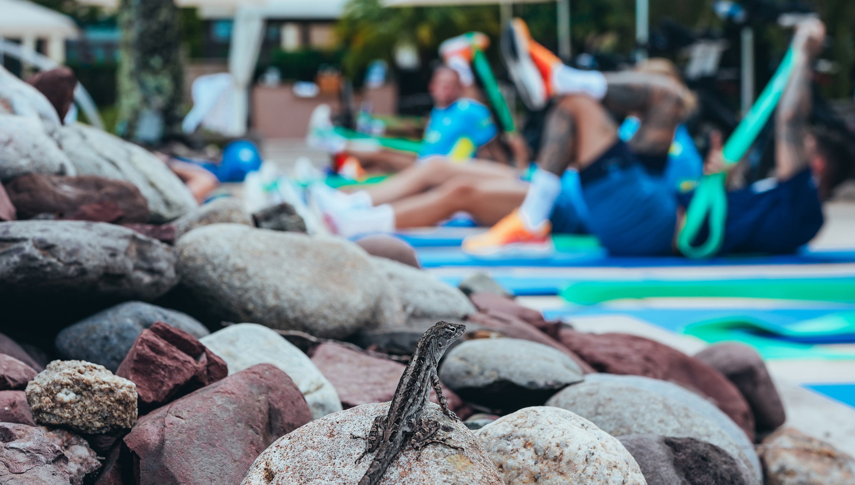 Gallery: Recovery in Orlando sunshine